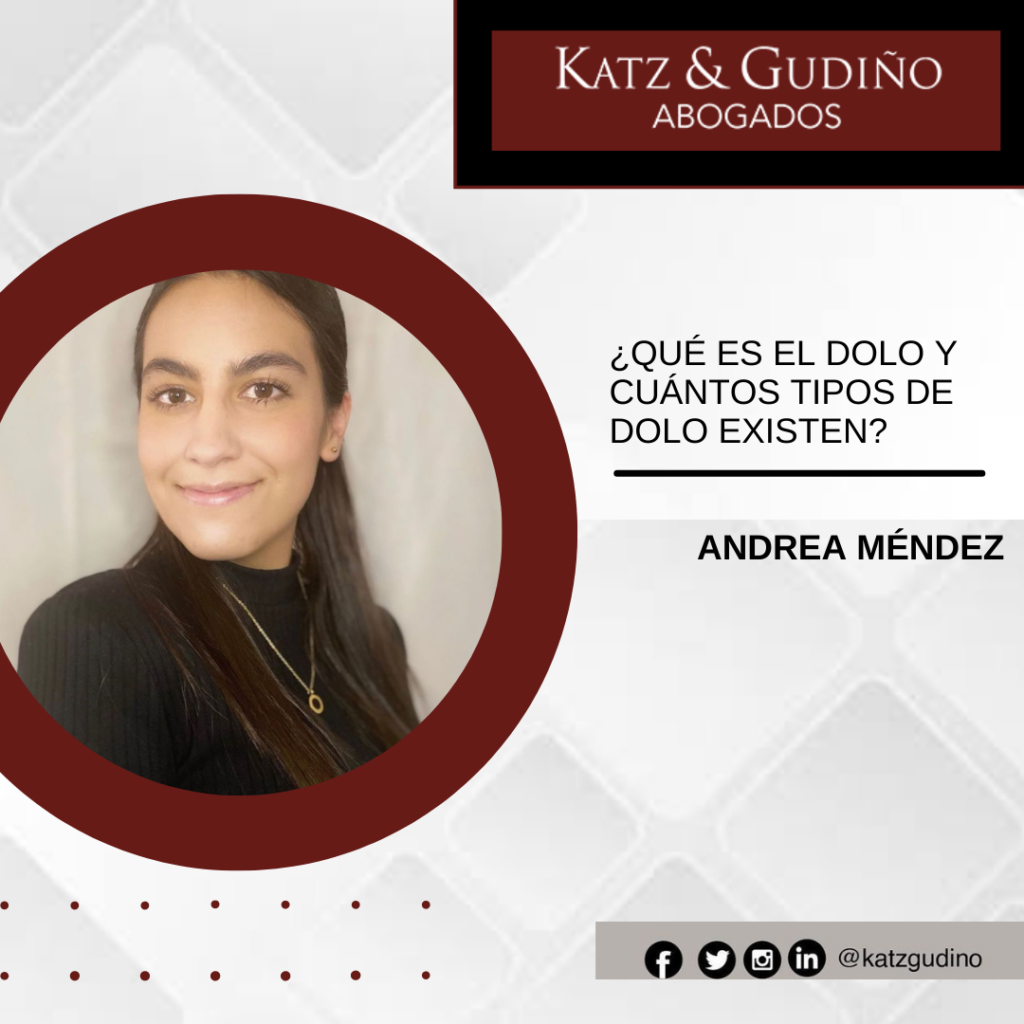 ¿Qué es el dolo y cuántos tipos de dolo existen? – KATZ & GUDIÑO ABOGADOS